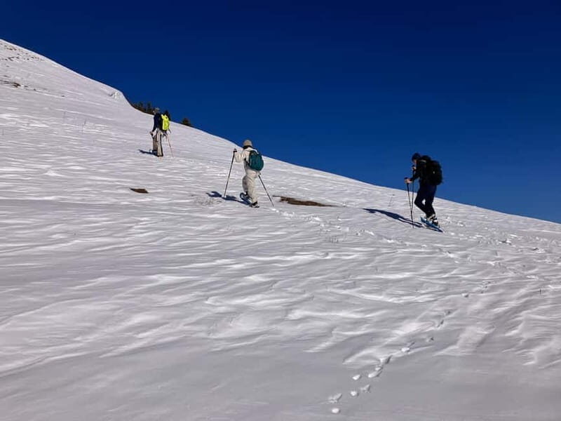 Snowshoeing in Bakuriani, Caucasus Mountains - An Introduction to Snowshoeing in Bakuriani