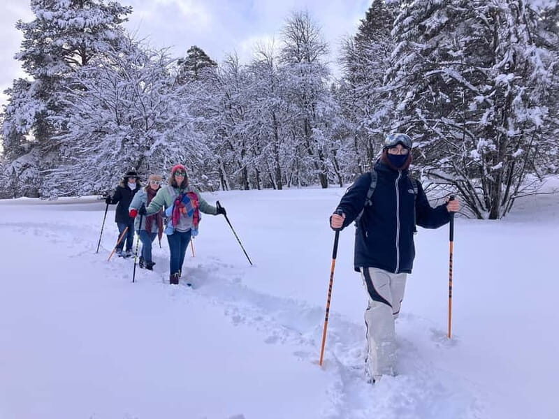 Snowshoeing in Bakuriani, Caucasus Mountains - Why You’ll Love This Tour