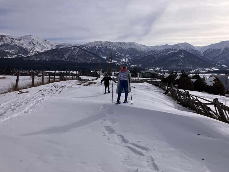 Snowshoeing in Bakuriani, Caucasus Mountains - Pricing and Value