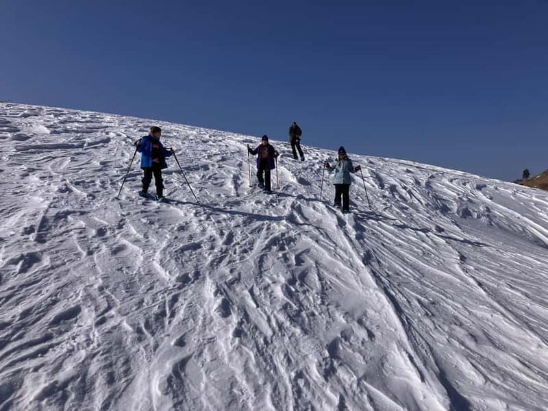 Snowshoeing in Bakuriani, Caucasus Mountains - Authentic Experiences and Scenic Beauty