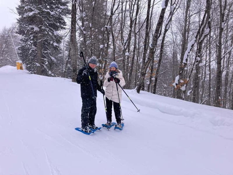 Snowshoeing in Bakuriani, Caucasus Mountains - Who Is This Tour Best For?