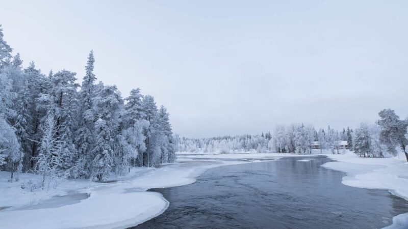 Snowshoeing in the Arctic Wilderness - Exploring Lapland on Snowshoes: A Deep Dive