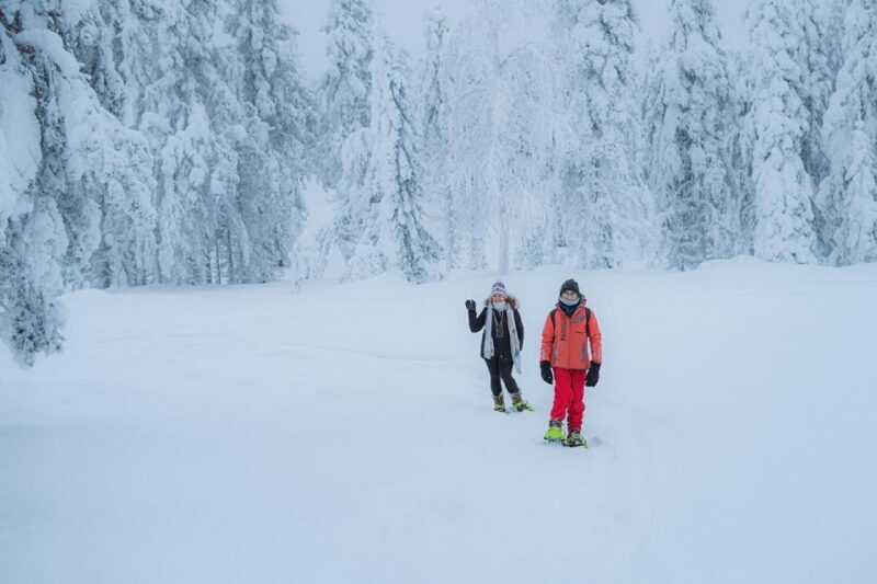 Snowshoeing in the Frozen Forest - Introducing the Experience