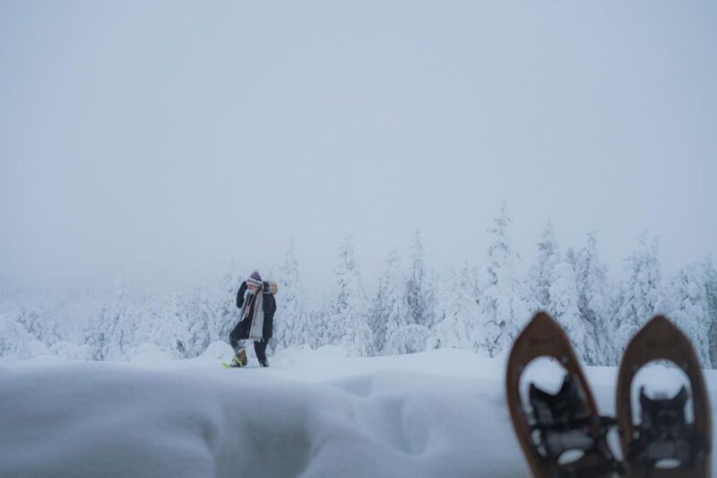 Snowshoeing in the Frozen Forest - What Sets This Tour Apart