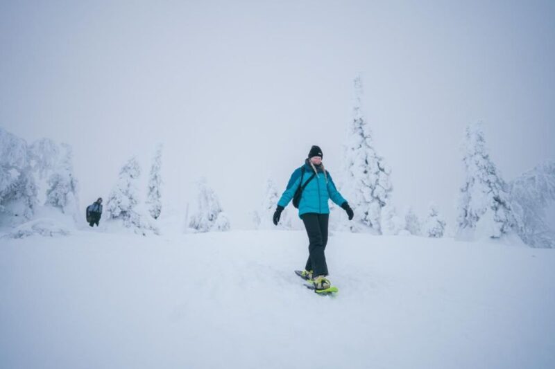 Snowshoeing in the Frozen Forest - Authenticity and Real Traveler Feedback