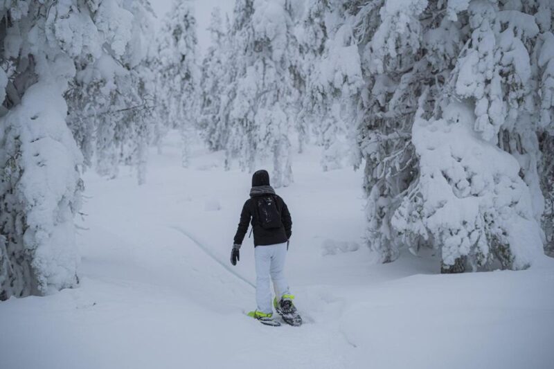 Snowshoeing in the Frozen Forest - Final Thoughts