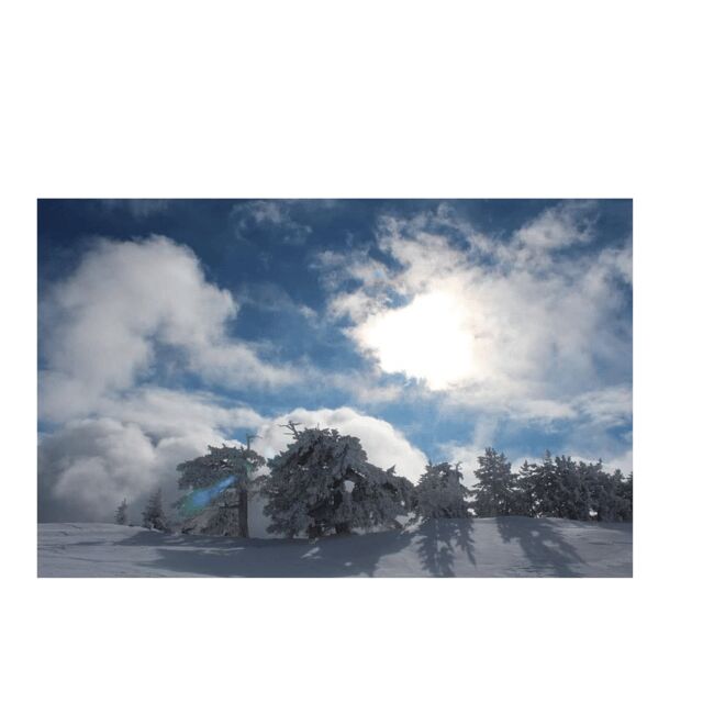 Snowshoeing in the Pollino National Park - Key Points