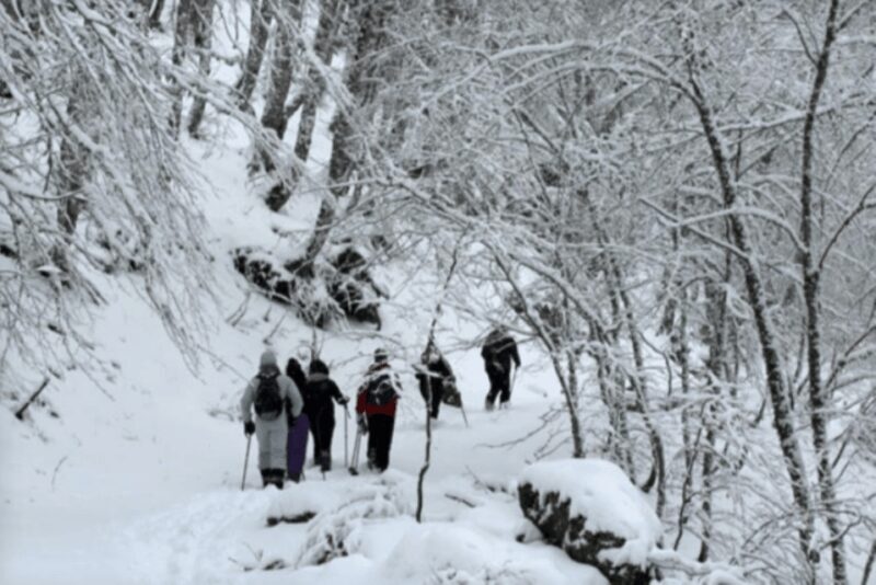 Snowshoeing in the Pollino National Park - FAQ