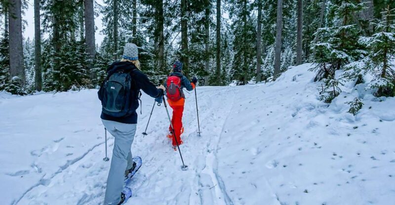 Snowshoeing in Triglav National Park - What You Can Expect from the Tour