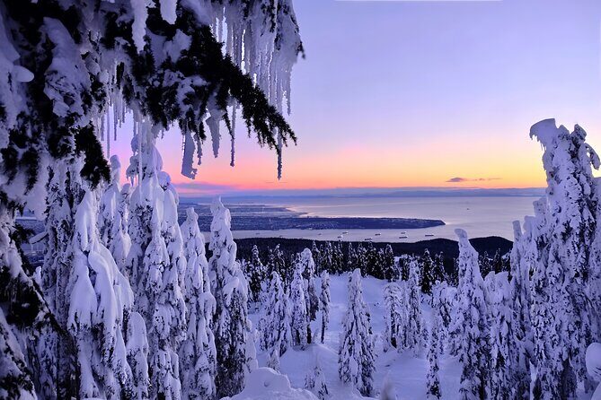 Snowshoeing In Vancouver's Winter Wonderland - An In-Depth Look at the Tour