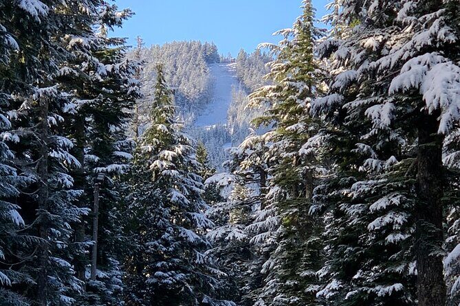 Snowshoeing In Vancouver's Winter Wonderland - FAQ