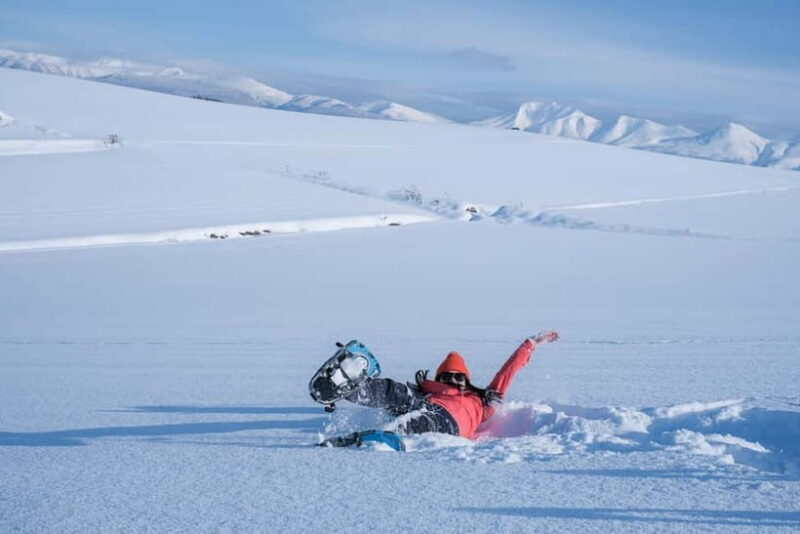 Snowshoeing on a Sparkling Biei Hill & Winter Cafe Time - The Itinerary: From Station to Snow and Warmth