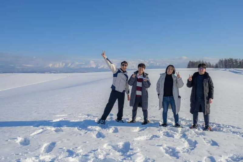 Snowshoeing on a Sparkling Biei Hill & Winter Cafe Time - Playing in the Snow: What to Expect