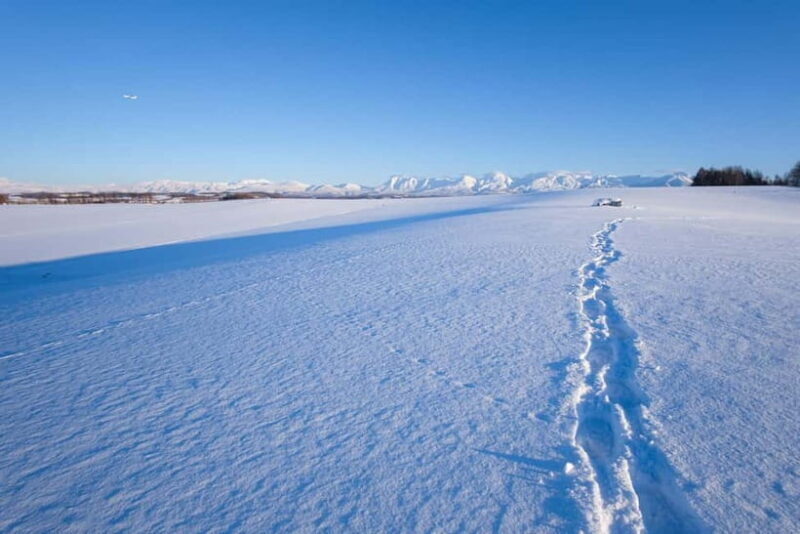 Snowshoeing on a Sparkling Biei Hill & Winter Cafe Time - The Logistics: What’s Included and What to Bring