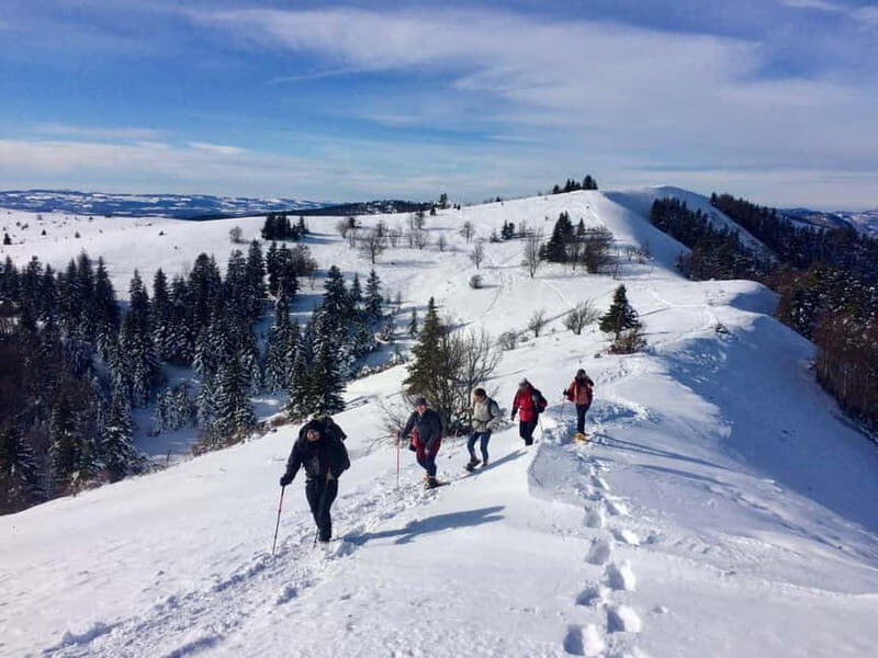 Snowshoeing on the Lure mountain - Key Points