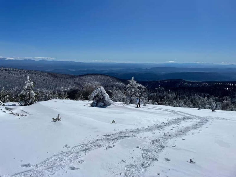 Snowshoeing on the Lure mountain - An In-Depth Look at the Snowshoe Tour on Lure Mountain