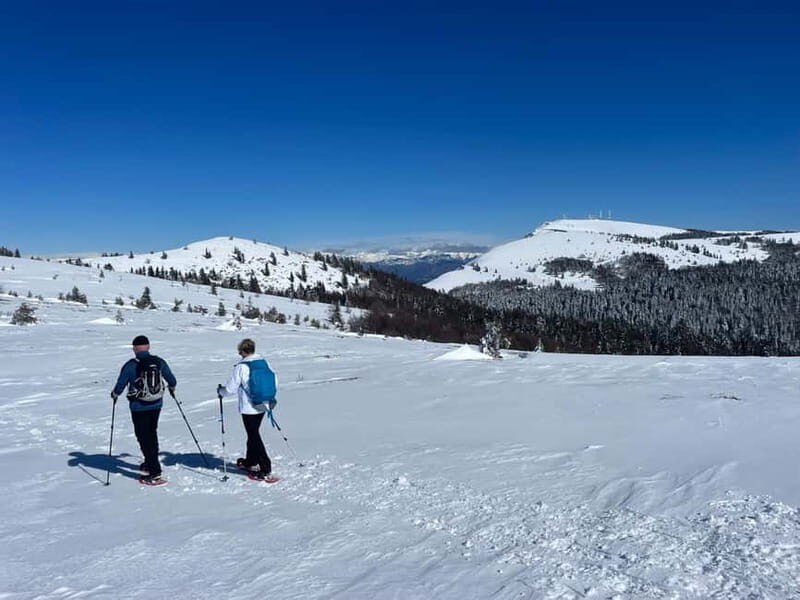 Snowshoeing on the Lure mountain - FAQs