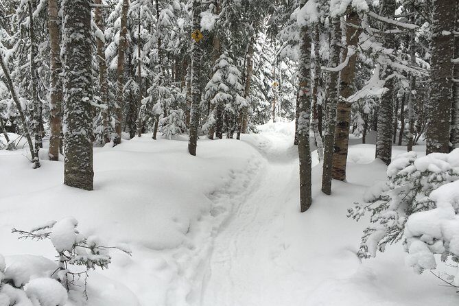 Snowshoeing Tour in Jacques-Cartier National Park - Evaluating the Value and Practicalities