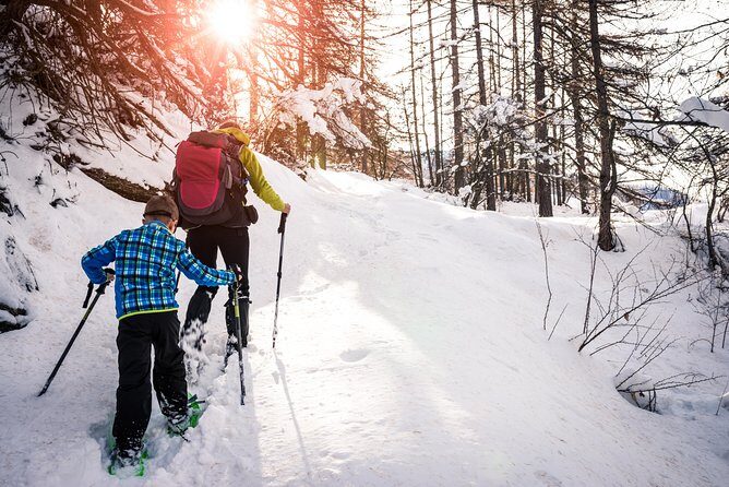 Snowshoeing Tour in Jacques-Cartier National Park - Authentic Experience and Testimonials
