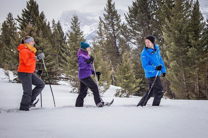 Snowshoeing Tour to the Paint Pots - Who Would Love This Tour?
