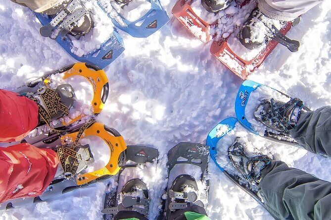 Snowshoeing tour with Wild Lunch - Introduction: A Unique Arctic Adventure in Rovaniemi