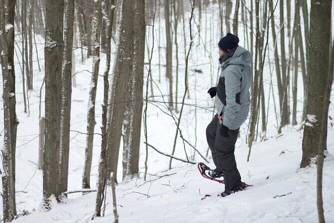 Snowshoeing tour with Wild Lunch - Key Points