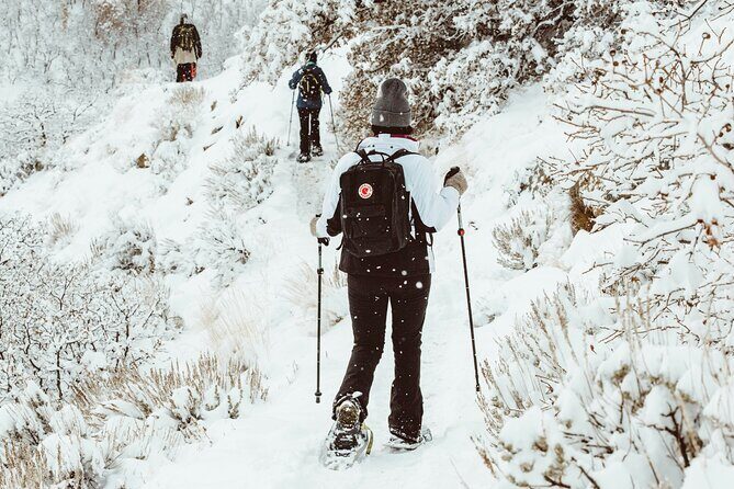 Snowshoeing tour with Wild Lunch - Evaluating the Price and Value