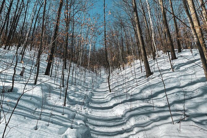 Snowshoeing tour with Wild Lunch - The Sum Up: Who Should Consider This Tour?