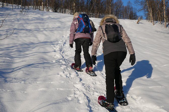 Snowshoeing With A View - Authentic Reviews & Real Experiences