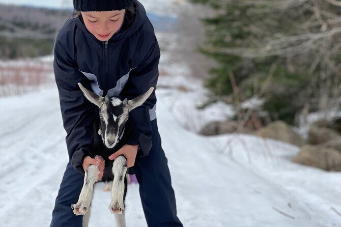 Snowshoeing with mountain goats Private activity - Final Thoughts: Who Will Love This Tour?