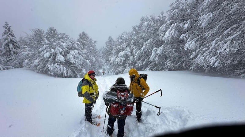 SNOWSHOES - What to Expect from Your Snowshoe Adventure