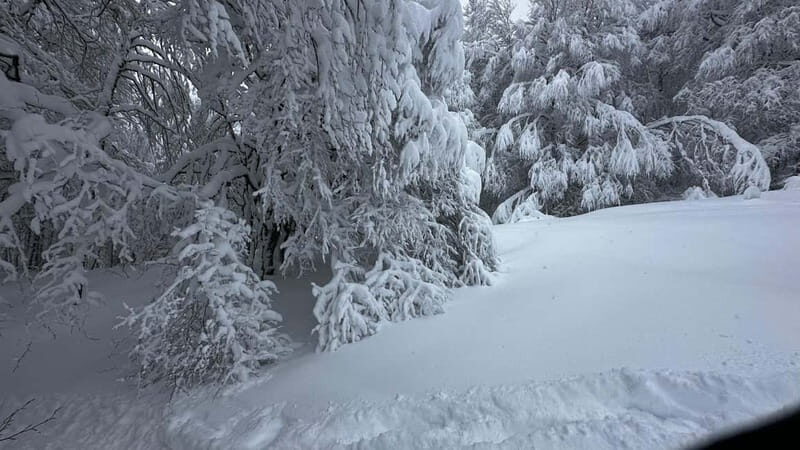 SNOWSHOES - The Journey Itself: What Makes It Special
