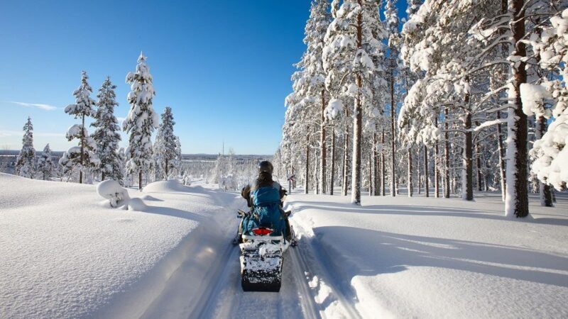 SnowSurge: Adult Snowmobiling Adventure - Key Points