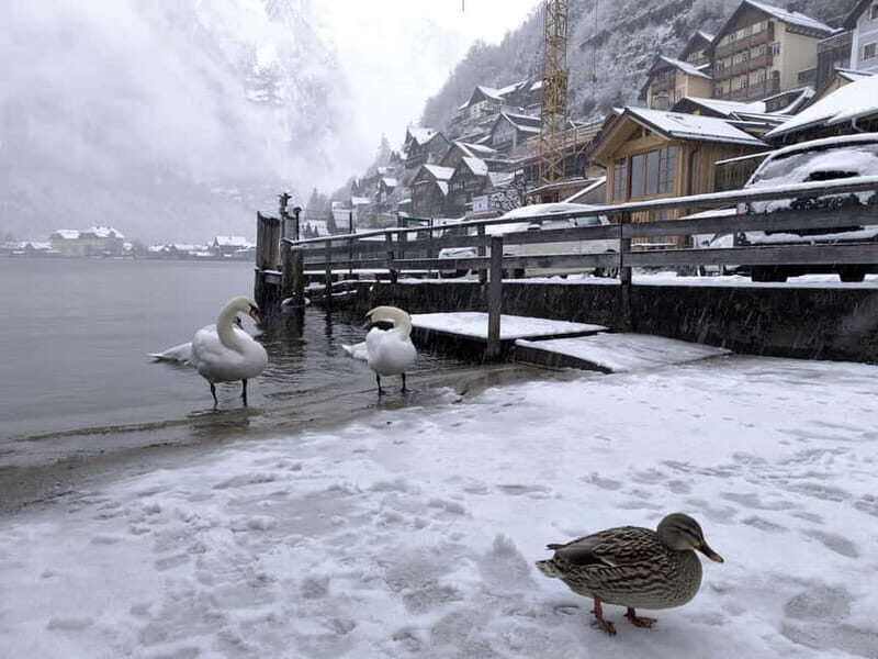 Snowy Alps & Fairytale Towns: Hallstatt & Salzburg Tour - Key Points