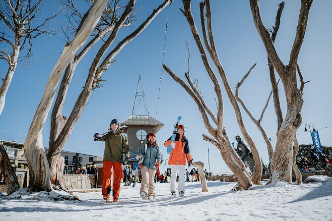 Snowy Escapes Tour Adventure in Mount Buller Alpine Australia - Key Points