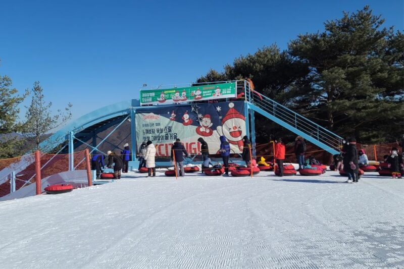 Snowy Land, Alpaca World, and Strawberry Picking - Transportation & Practicalities