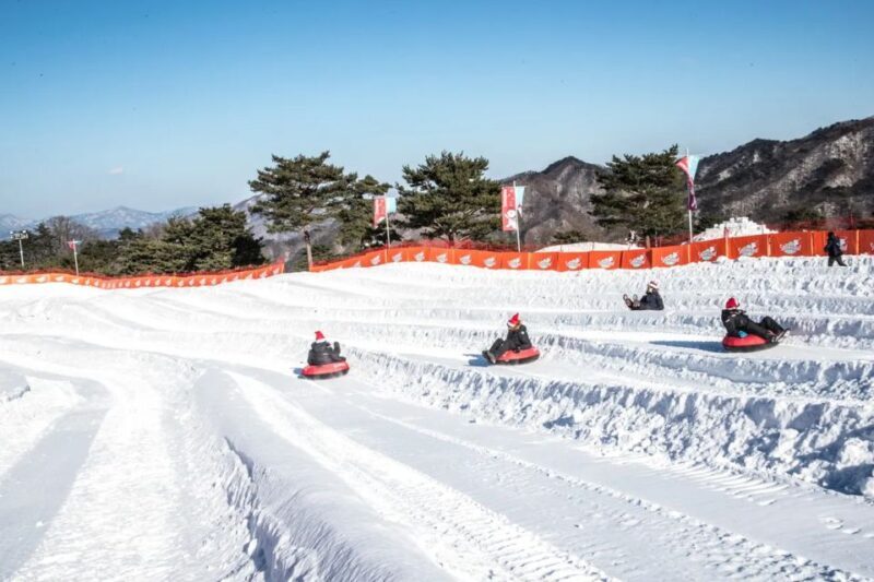 Snowy Land, Alpaca World, and Strawberry Picking - Is It Worth the Price?