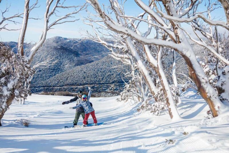Snowy Mountains: 1-Day Snow Adventure at Thredbo From Sydney - What Makes This Tour Stand Out