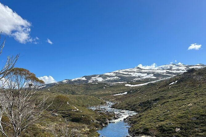 Snowy Mountains NSW Private Tour 3 Days - Pick up & Drop off - Day 3: Return to Sydney