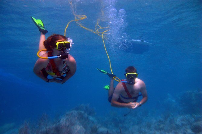 Snuba Adventure at Coral World Ocean Park - What to Expect from the Snuba Adventure