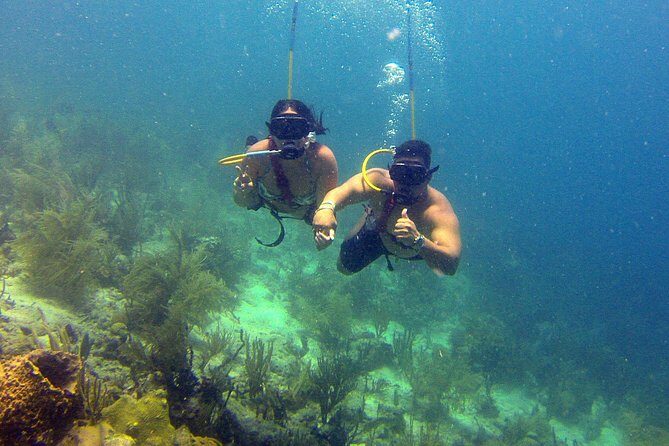 Snuba Adventure at Coral World Ocean Park - The Sum Up