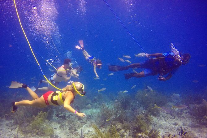 Snuba Adventure at Coral World Ocean Park - FAQ