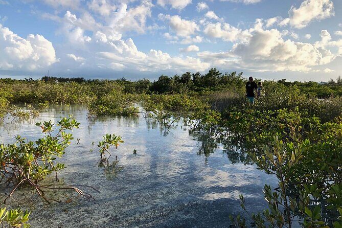 Snuba Adventure at Emerald Reef - Frequently Asked Questions