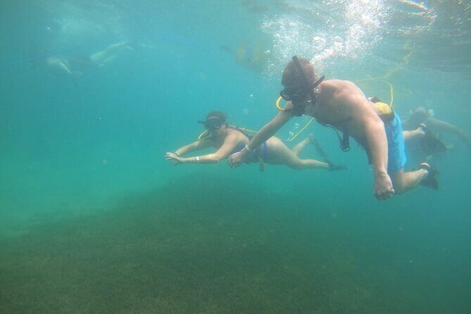 SNUBA Saint Lucia - The Sum Up: Is SNUBA Saint Lucia Worth It?