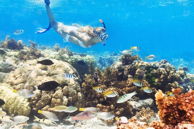 Snuba Snorkelking Parasailing and Catamaran Pack - What to Expect from the Tour