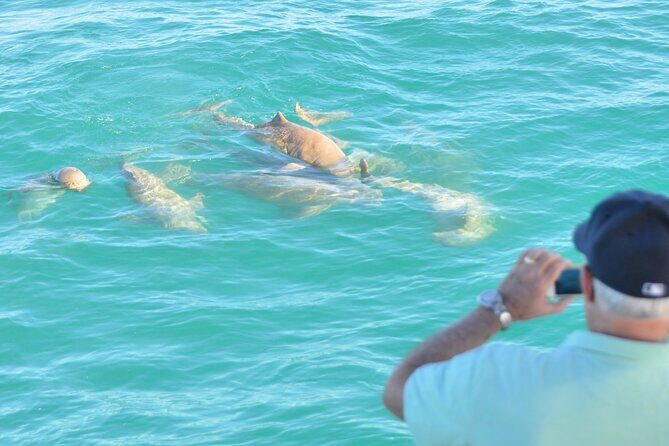Snubfin Dolphin Eco Cruise from Broome - FAQs