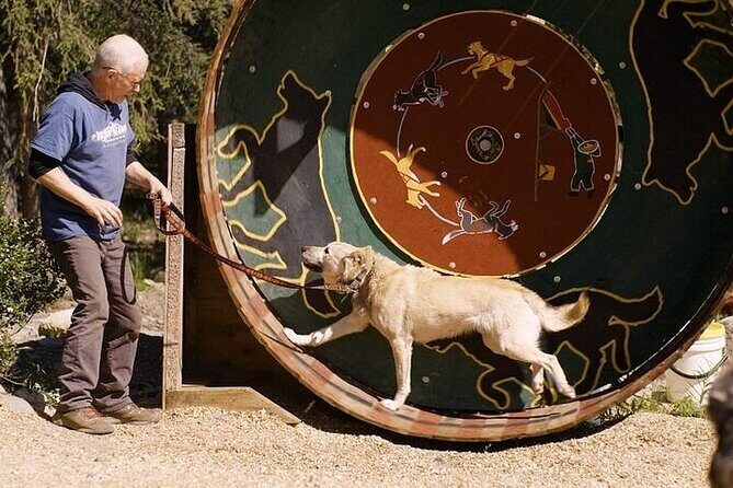 Snuggle Puppies and Learn about the Iditarod - FAQs