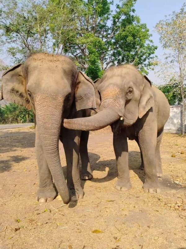 SO MANY BAD TITLES - Key Points