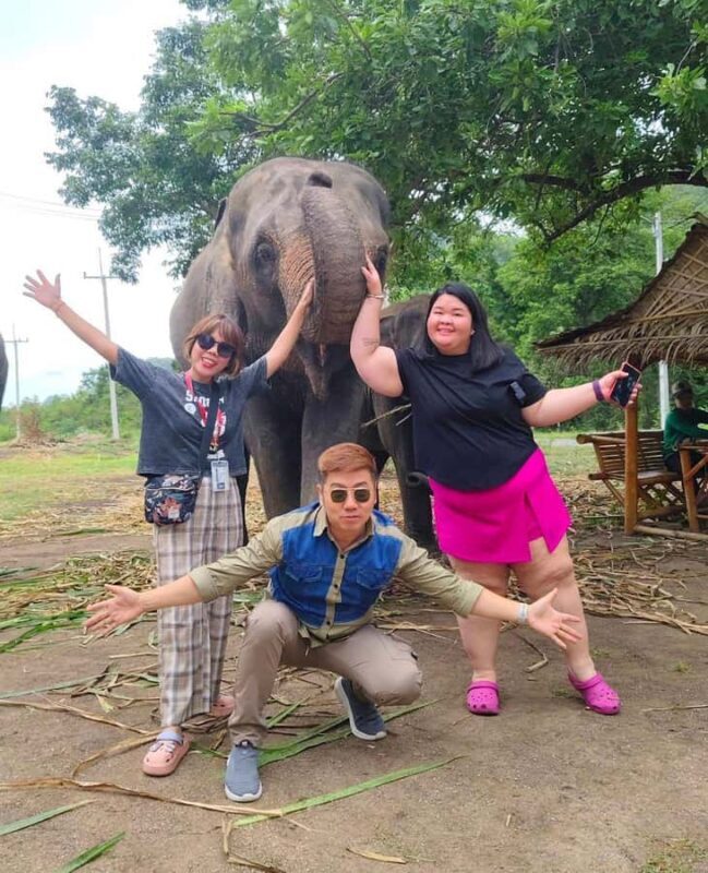 SO MANY BAD TITLES - An Honest Look at the Elephant Experience