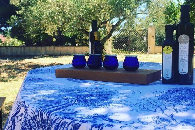 Soap and Olive Oil Experience - Introduction